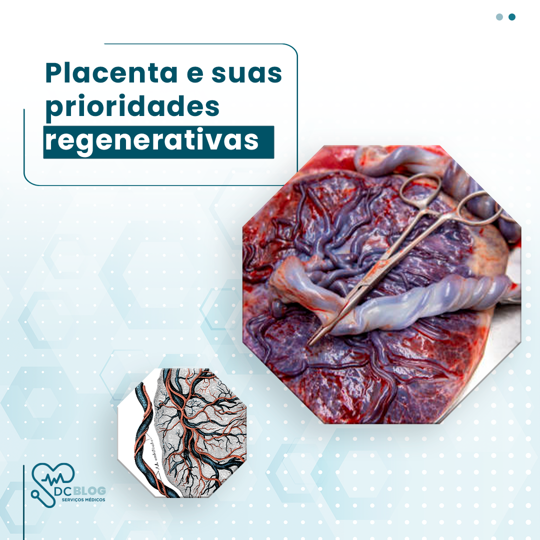 Placenta e suas prioridades regenerativas - DC MED